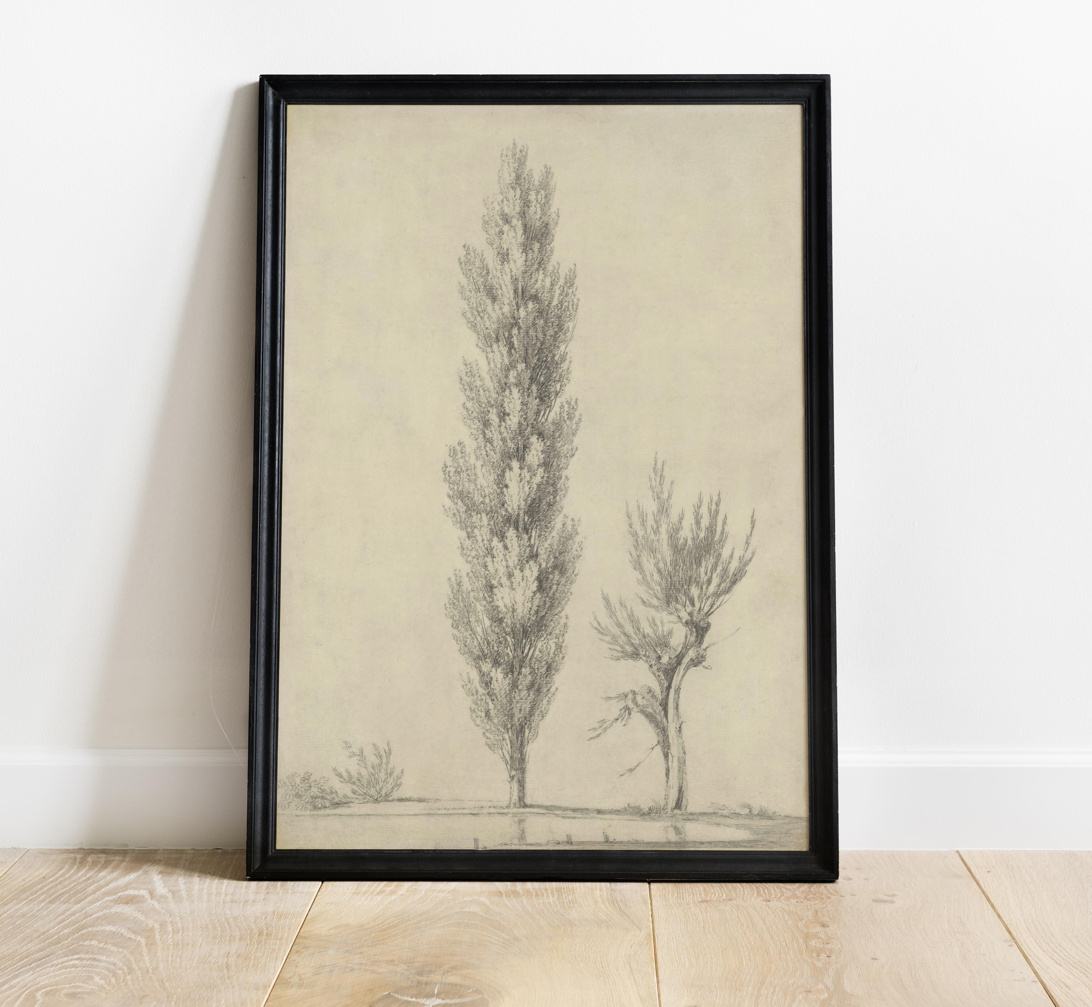 Study of a tree - DIGITAL – Simply Inspired Design Co